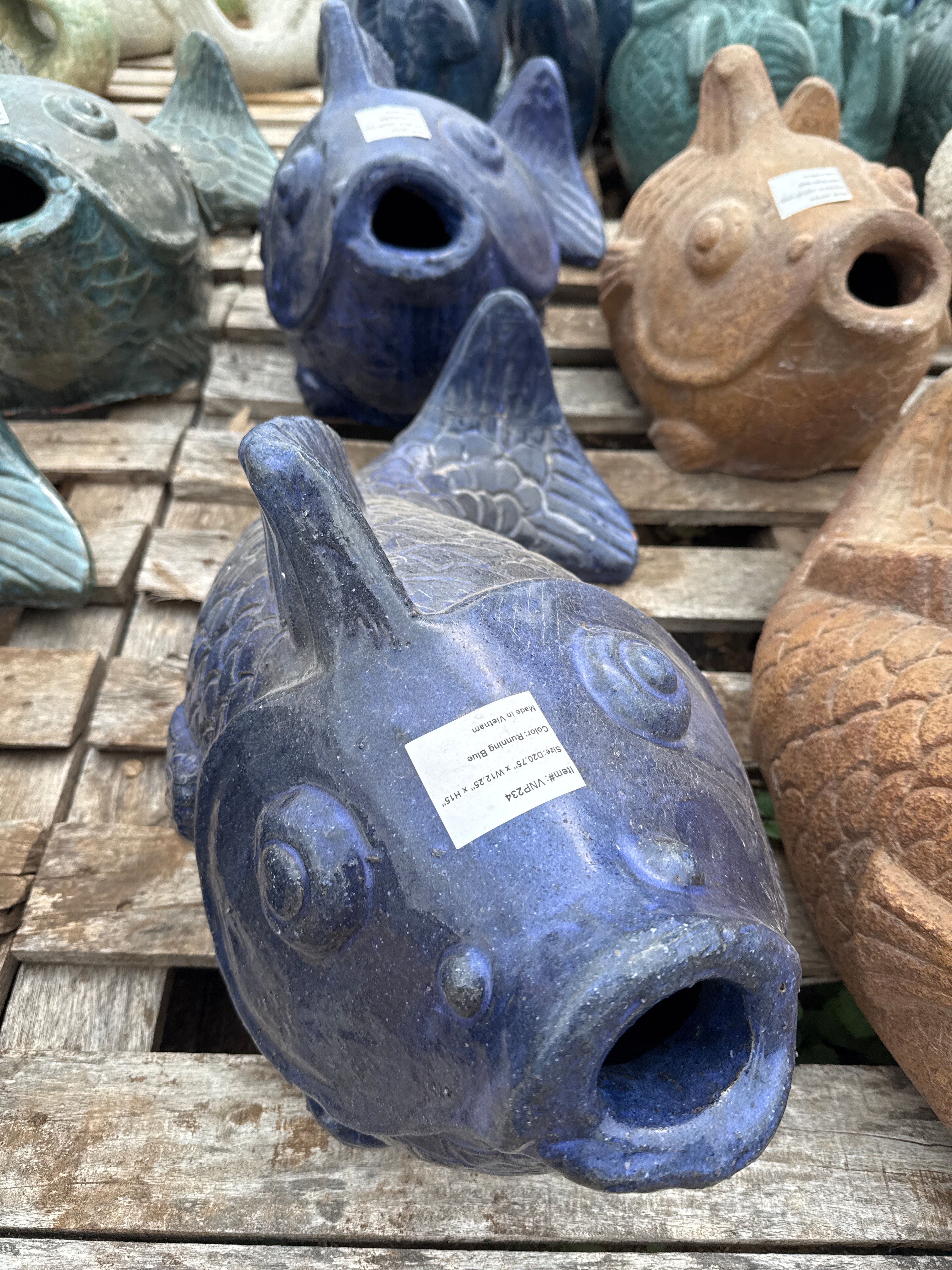 Running Blue Acadian Fish